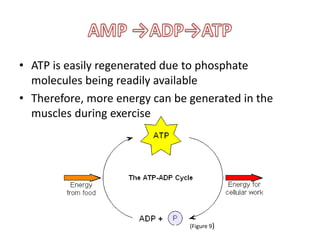 Energy systems | PPTX