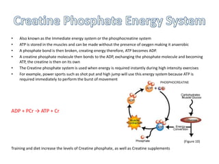 Energy systems | PPTX