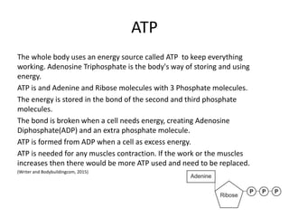 Energy systems | PPTX