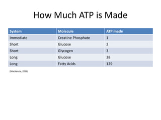 Energy systems | PPTX | Fitness and Exercise | Healthy Living