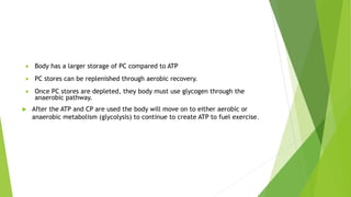 ATP Energy System | PPTX