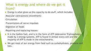 ATP Energy System | PPTX