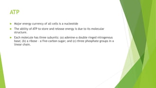 ATP Energy System | PPT