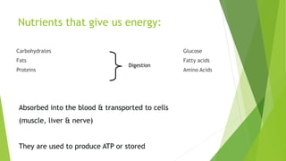 ATP Energy System | PPTX