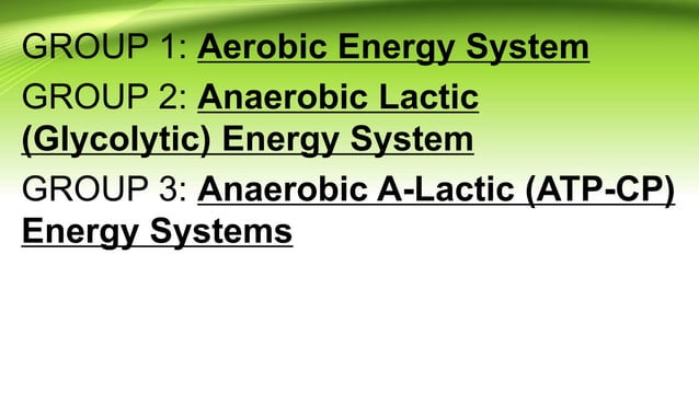 Grade 11 PE&Health Lesson 2: Energy systems | PPTX | Running and ...