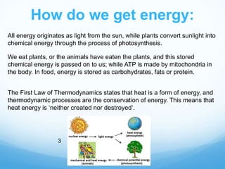 Energy systems by Antonia Depinto | PPTX