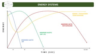 Energy systems | PPTX | Chemistry | Science