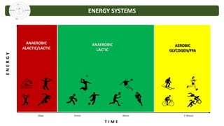 Energy systems | PPTX | Chemistry | Science