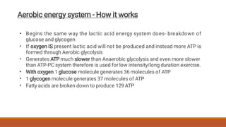 Energy systems.pdf