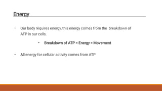 Energy systems.pdf