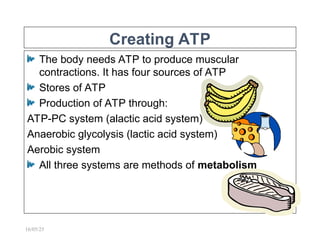 Digestive Energy Systems. anatomical supportppt | PPT