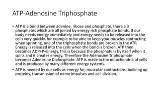 Energy systems anatomy | PPT