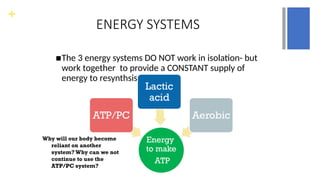 Energy Systems 3.3 - Lesson 5 - Lactic Energy system.pptx