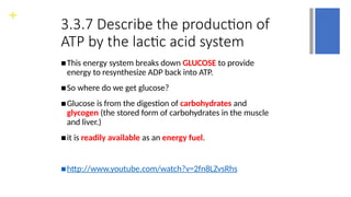 Energy Systems 3.3 - Lesson 5 - Lactic Energy system.pptx