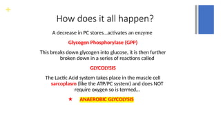 Energy Systems 3.3 - Lesson 5 - Lactic Energy system.pptx