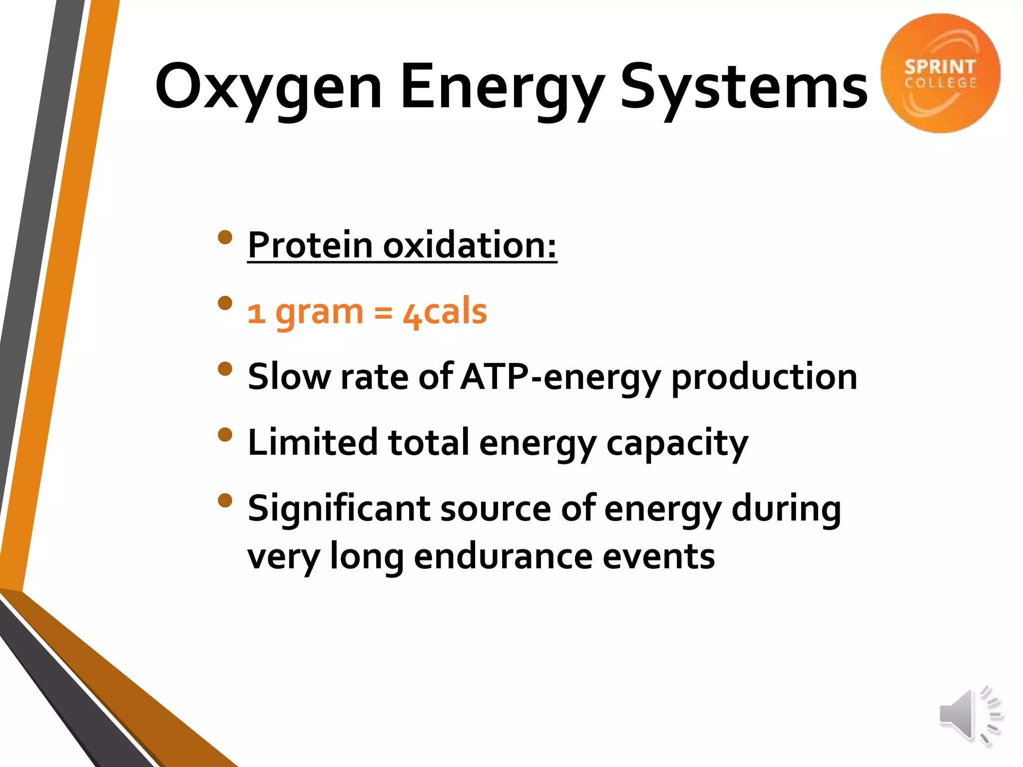 Energy Systems During Exercise | PPTX
