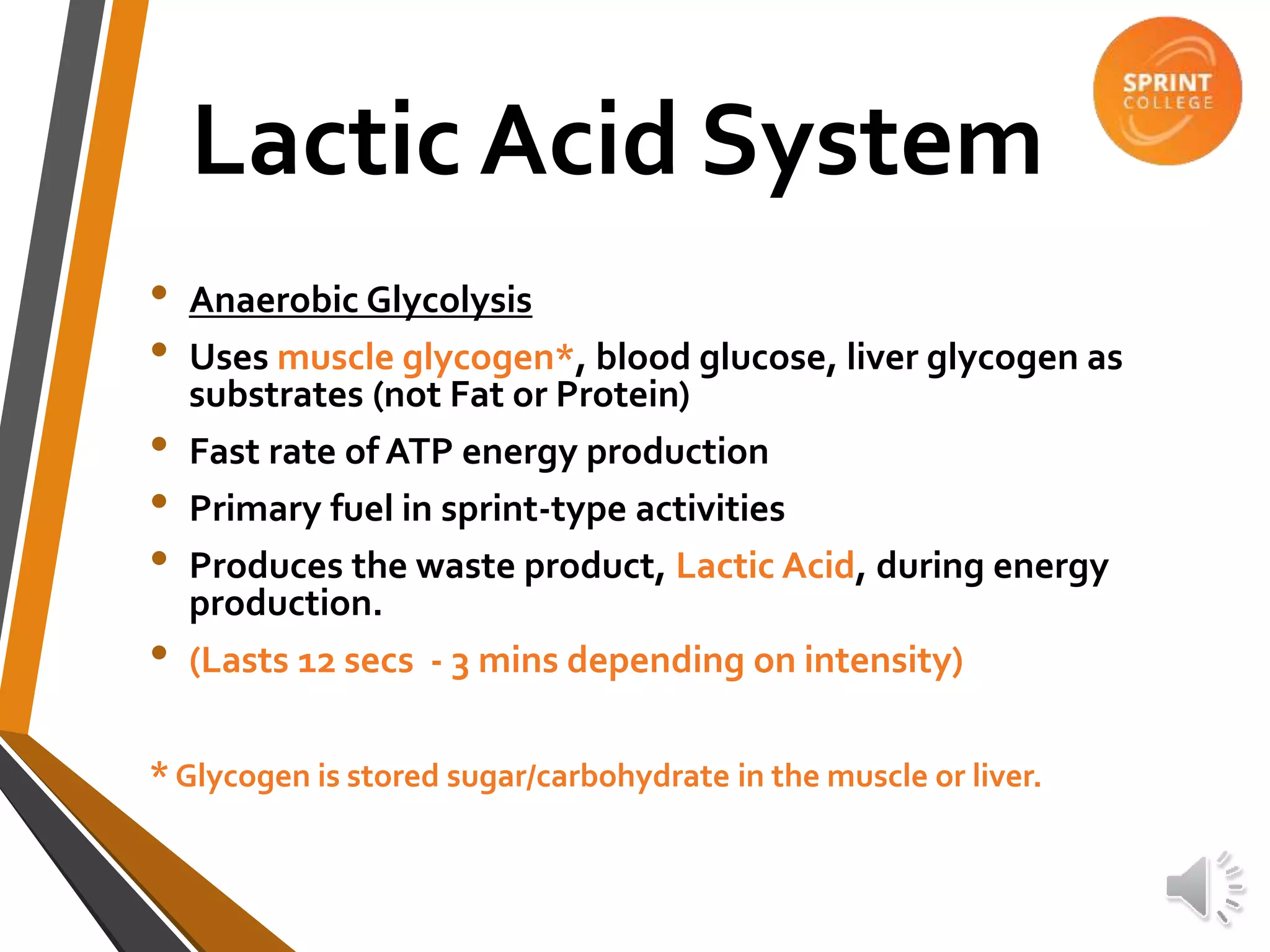 Energy Systems During Exercise | PPTX