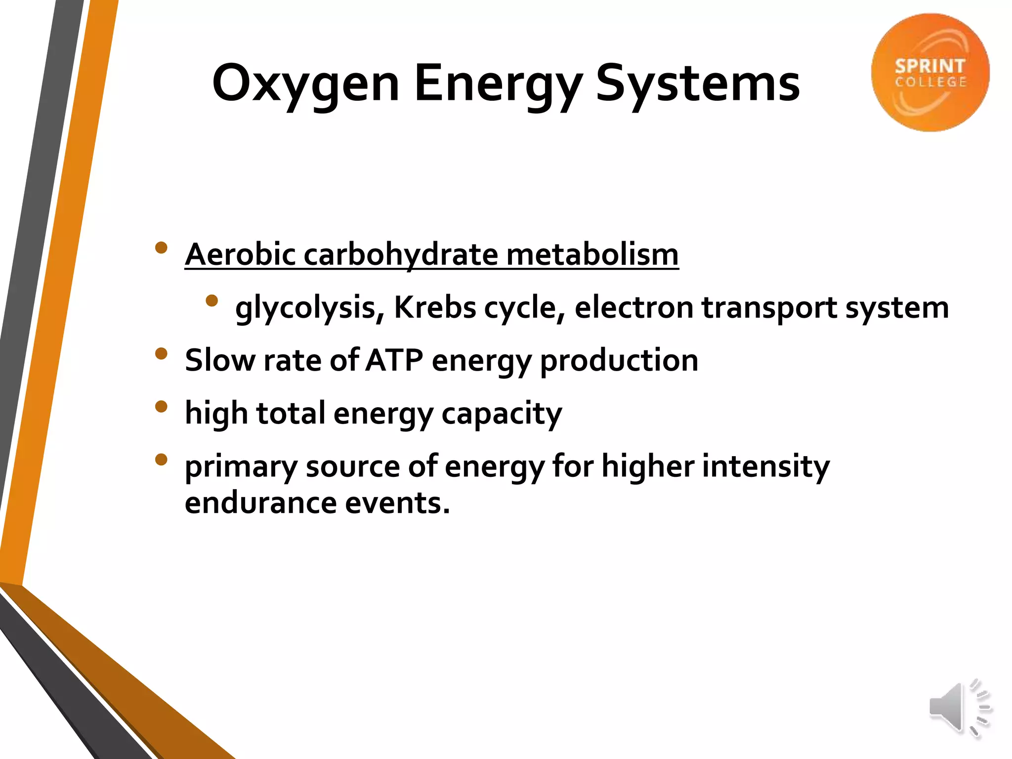 Energy Systems During Exercise | PPTX