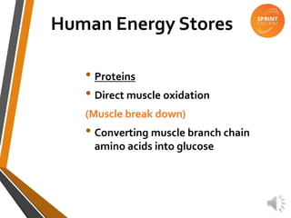 Energy Systems During Exercise | PPTX
