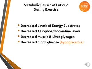 Energy Systems During Exercise | PPTX
