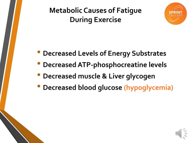 Energy Systems During Exercise | PPTX