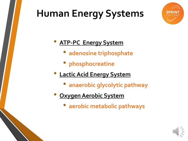 Energy Systems During Exercise | PPTX