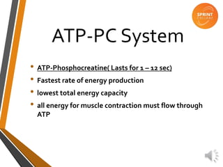 Energy Systems During Exercise | PPTX