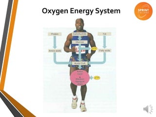 Energy Systems During Exercise | PPTX