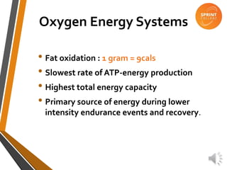 Energy Systems During Exercise | PPTX