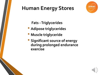 Energy Systems During Exercise | PPTX