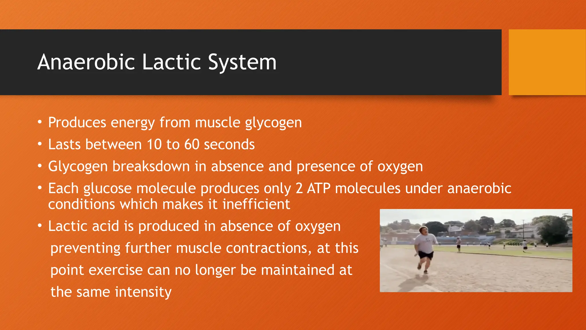 ENERGY SYSTEMS ( Classroom Teaching Lessons on Theory of Different ...