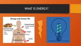 ENERGY SYSTEMS ( Classroom Teaching Lessons on Theory of Different ...