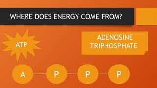 ENERGY SYSTEMS ( Classroom Teaching Lessons on Theory of Different ...