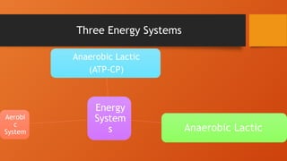 ENERGY SYSTEMS ( Classroom Teaching Lessons on Theory of Different ...