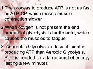 Energy systems in human body by arianaacardiorespiratory | PPTX
