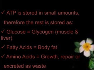 Energy systems in human body by arianaacardiorespiratory | PPTX