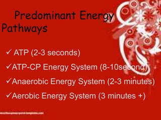 Energy systems in human body by arianaacardiorespiratory | PPTX