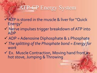 Energy systems in human body by arianaacardiorespiratory | PPTX