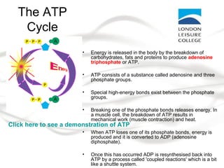 Energy systems main lesson | PPT