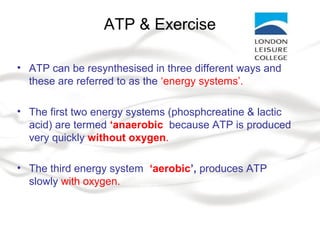 Energy systems main lesson | PPT