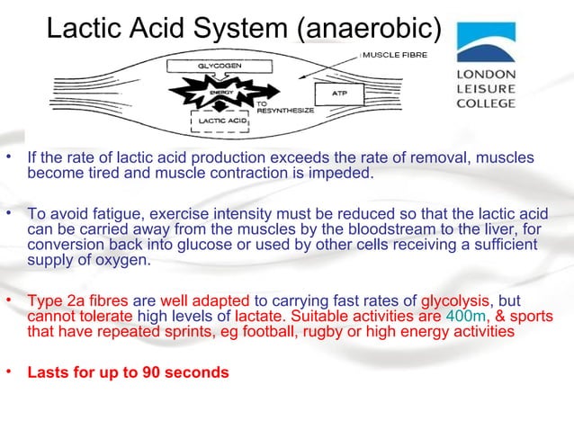 Energy systems main lesson | PPT