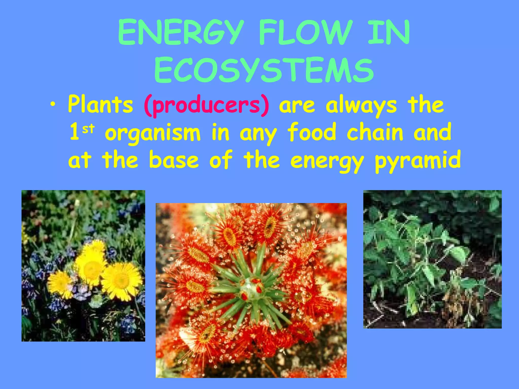 Energy transfer[1] | PPT