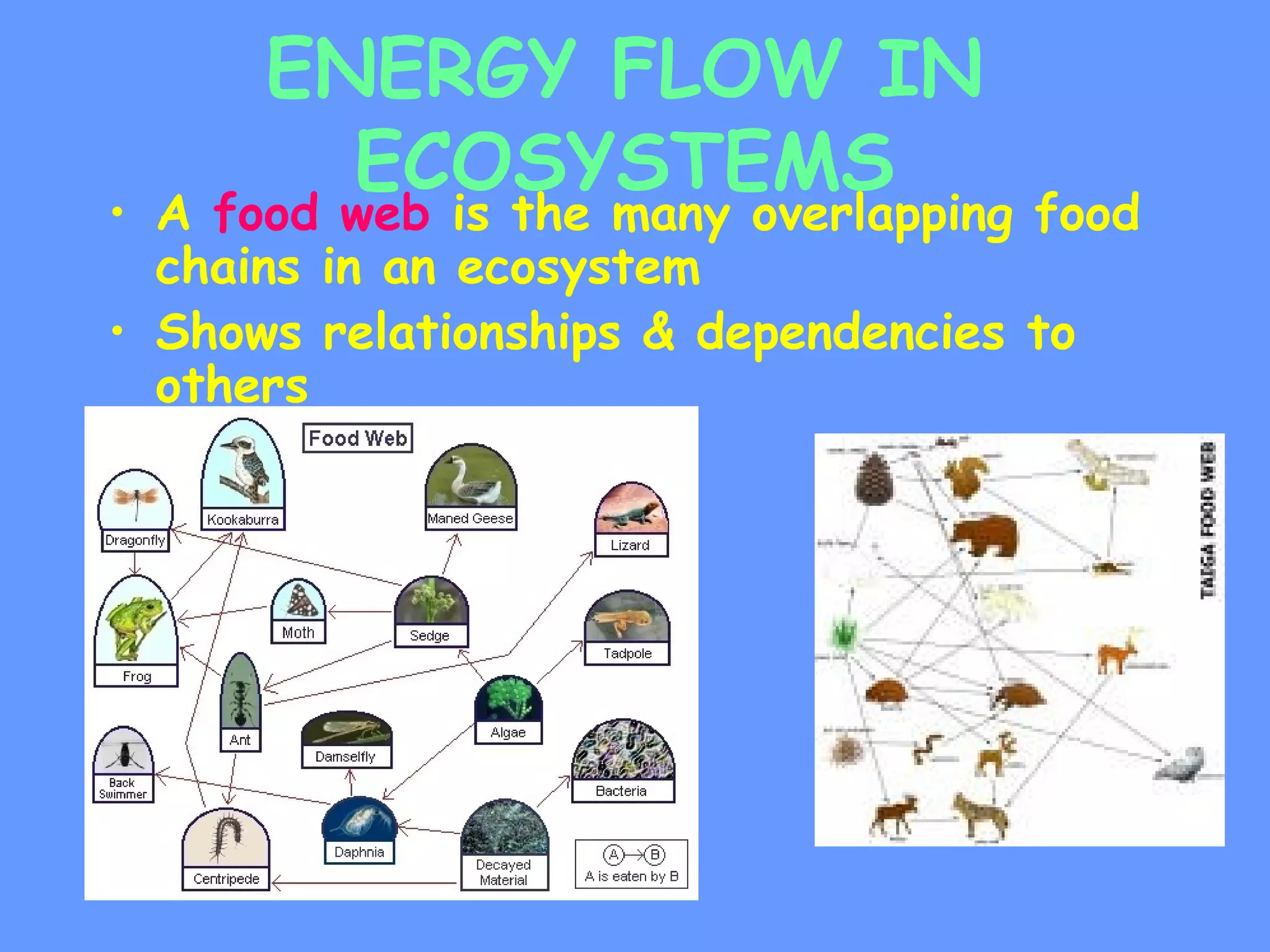 Energy transfer[1] | PPT