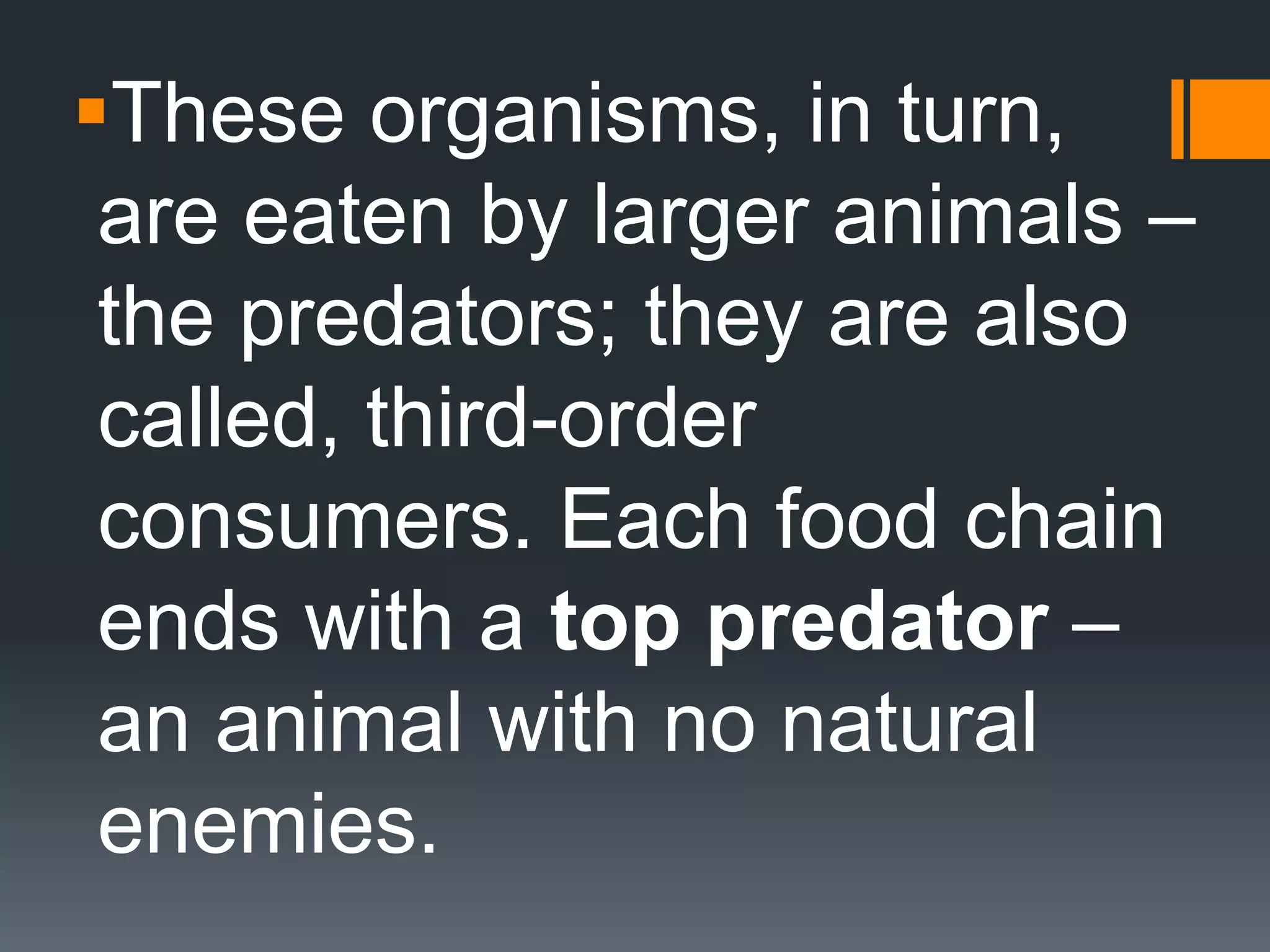 Energy transfer in the ecosystems | PPTX