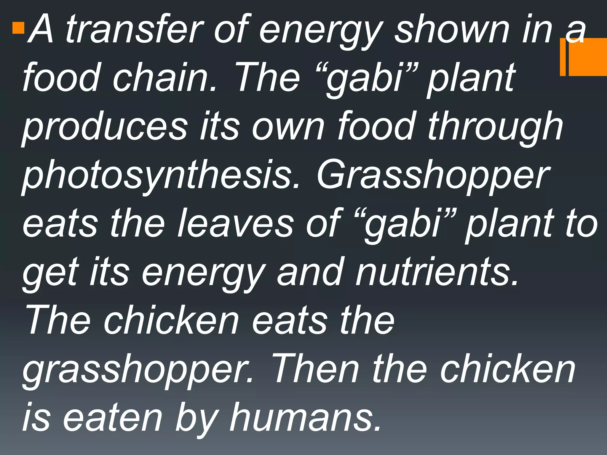 Energy transfer in the ecosystems | PPTX