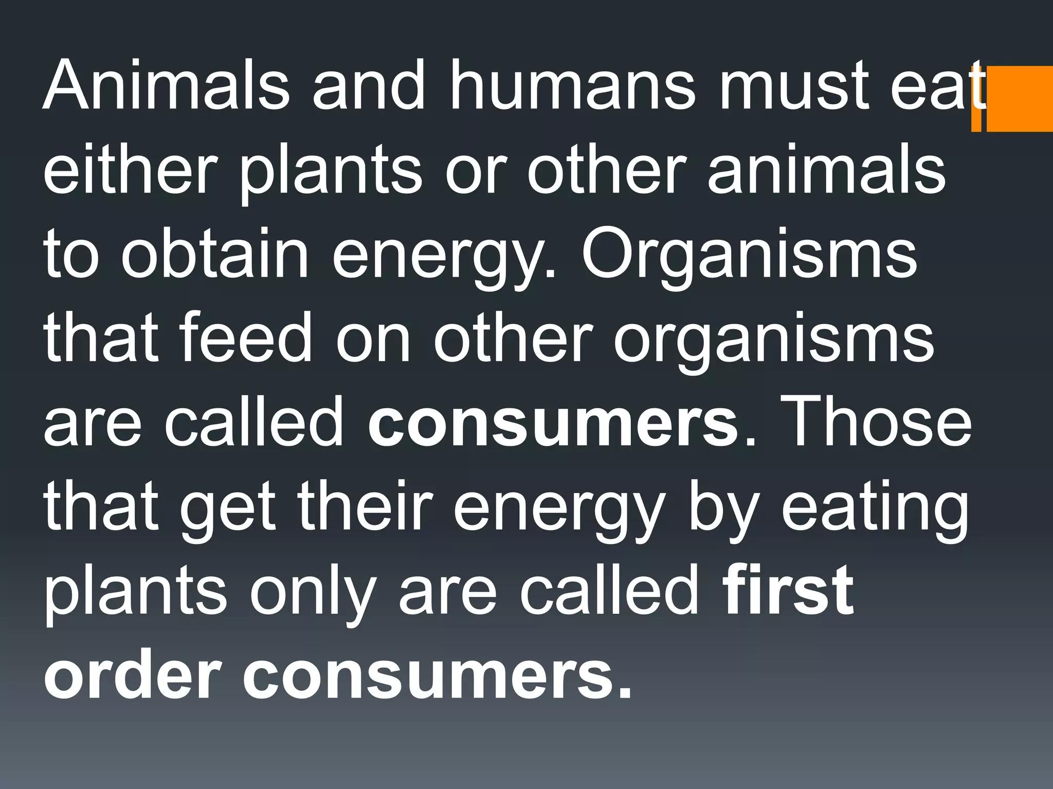 Energy transfer in the ecosystems | PPTX
