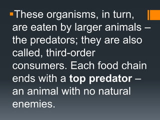 Energy transfer in the ecosystems | PPTX