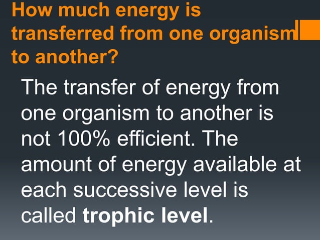 Energy transfer in the ecosystems | PPTX
