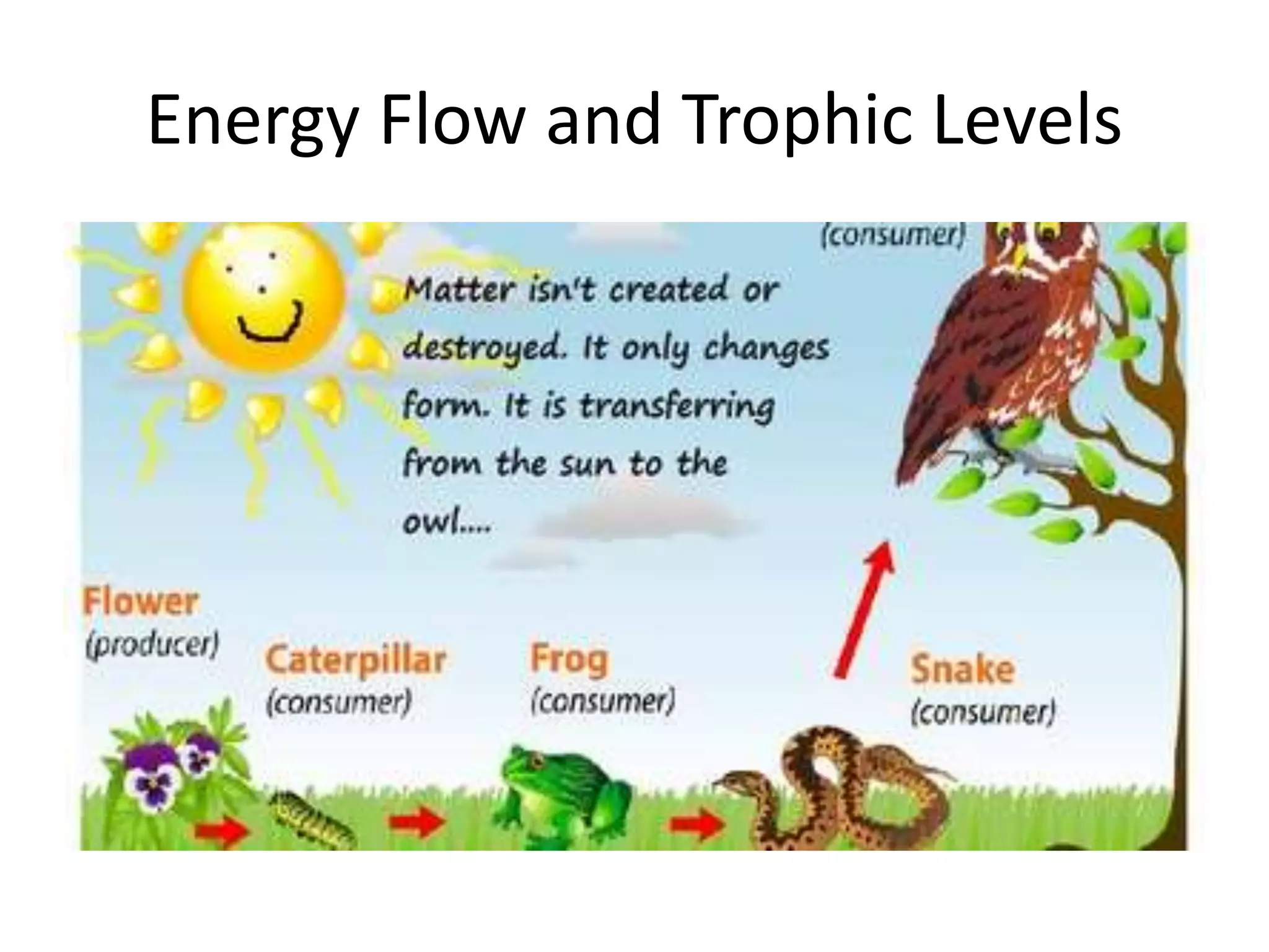 Energy Transformation PPT.pptx