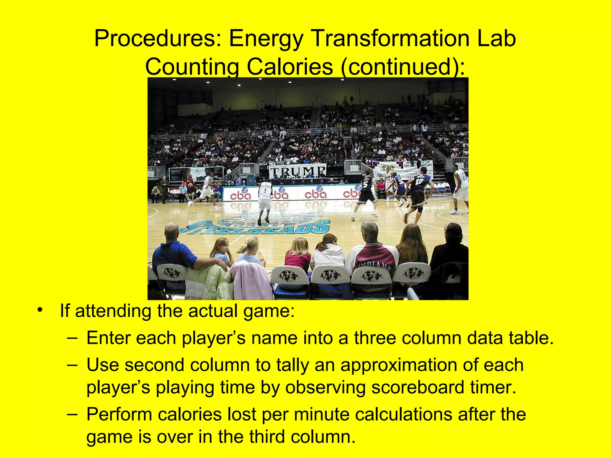 Energy transformations lab | PPT | Nutrition | Healthy Living